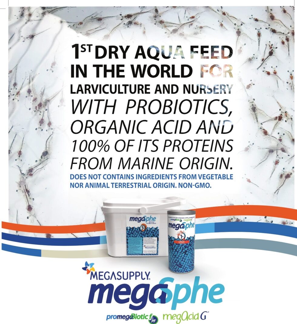 MegaSphe - Megafeeds - Megasupply